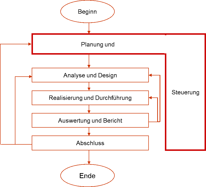 Infografik: Organisation der Testprozesse - redbots || the coding experts